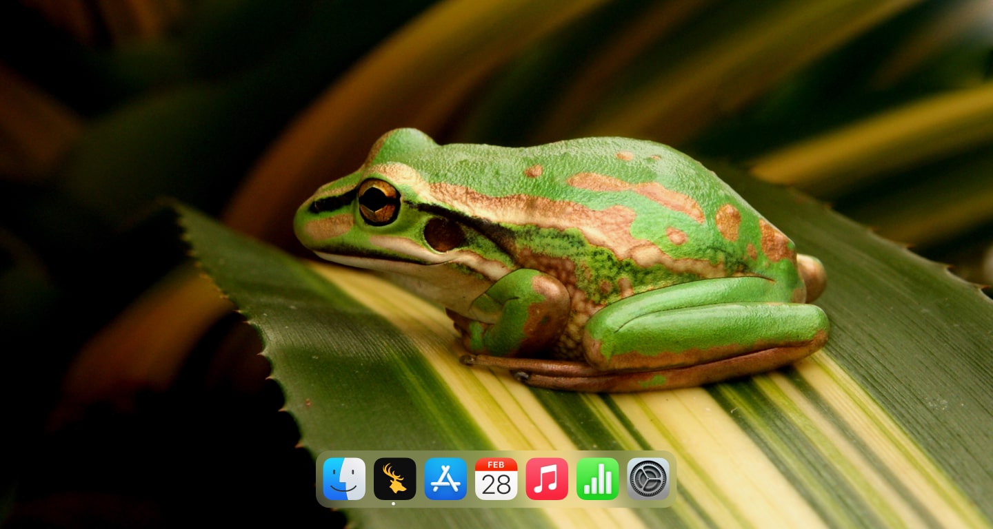 Widgetter - Widgets for your Mac