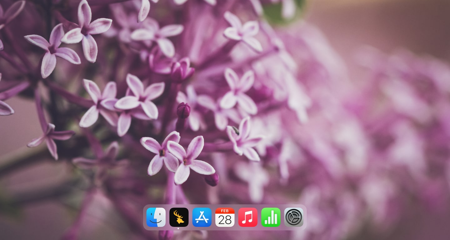 Widgetter - Widgets for your Mac