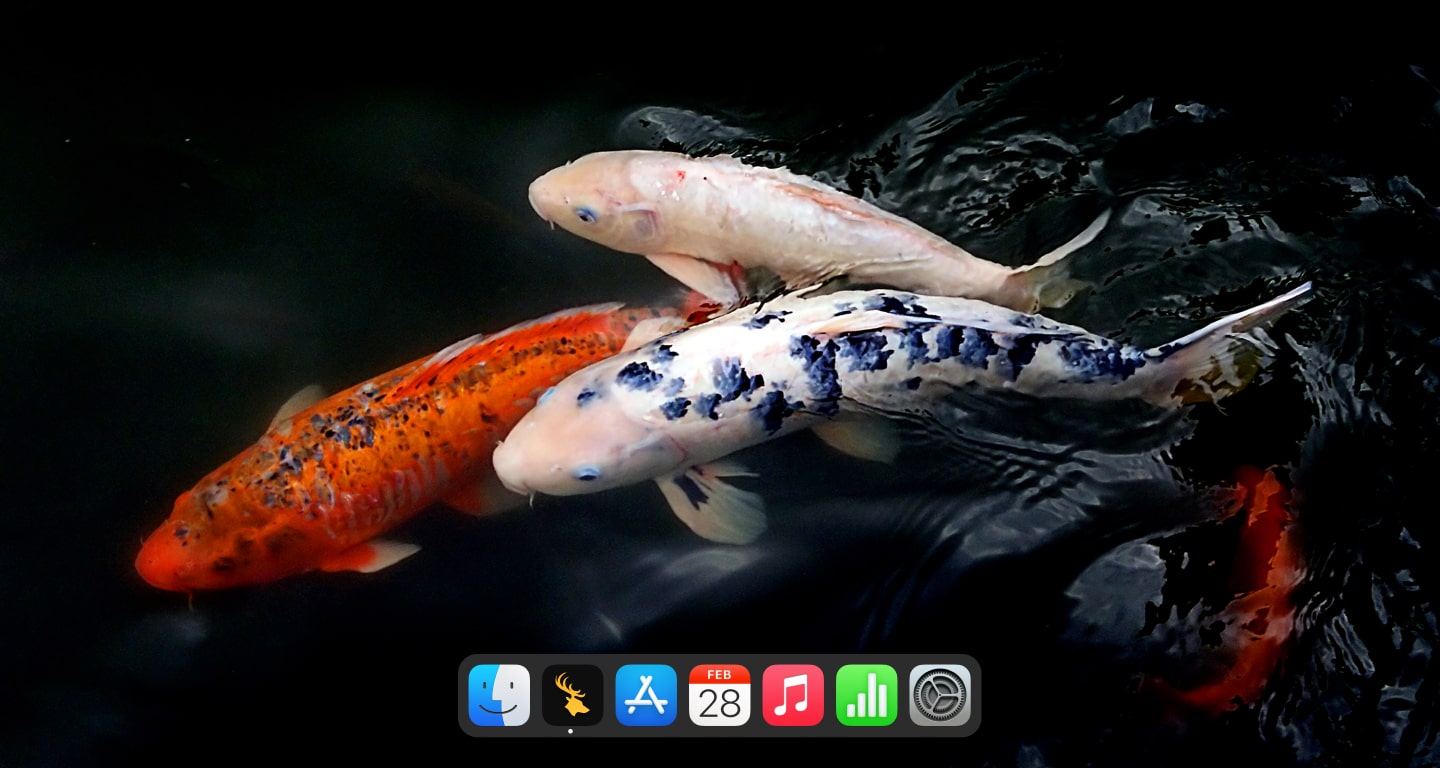 Widgetter - Widgets for your Mac